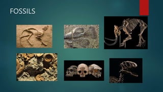 BIODIVERSITY AND EVOLUTION science topic.pptx