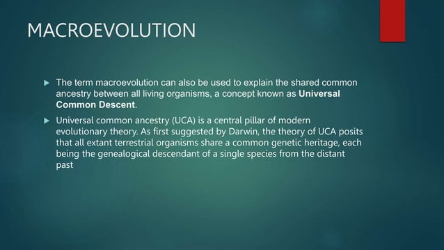 BIODIVERSITY AND EVOLUTION science topic.pptx