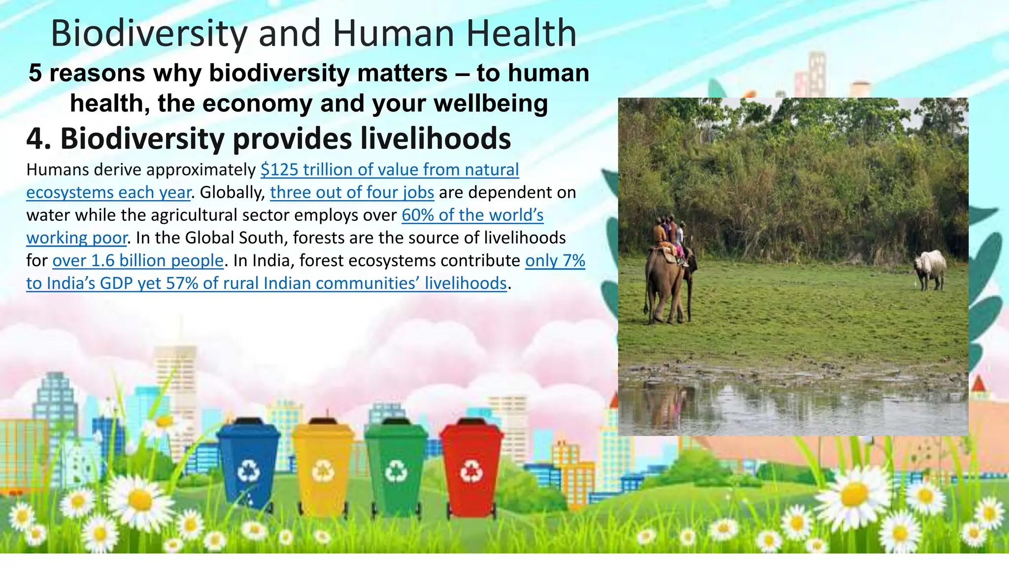 BIODIVERSITY AND HEALTHY SOCIETY BY GROUP 1 | PPTX