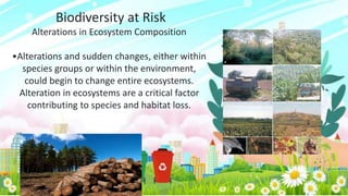 BIODIVERSITY AND HEALTHY SOCIETY BY GROUP 1 | PPTX