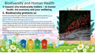 BIODIVERSITY AND HEALTHY SOCIETY BY GROUP 1 | PPTX