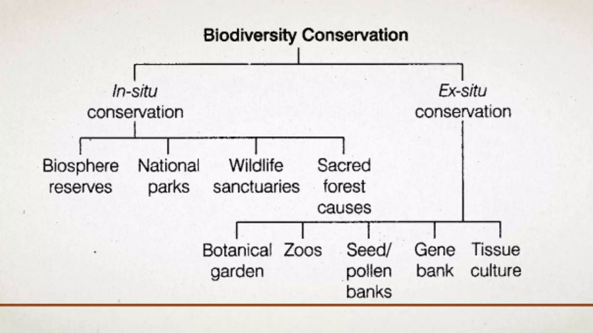 Biodiversity and its conservation | PPTX