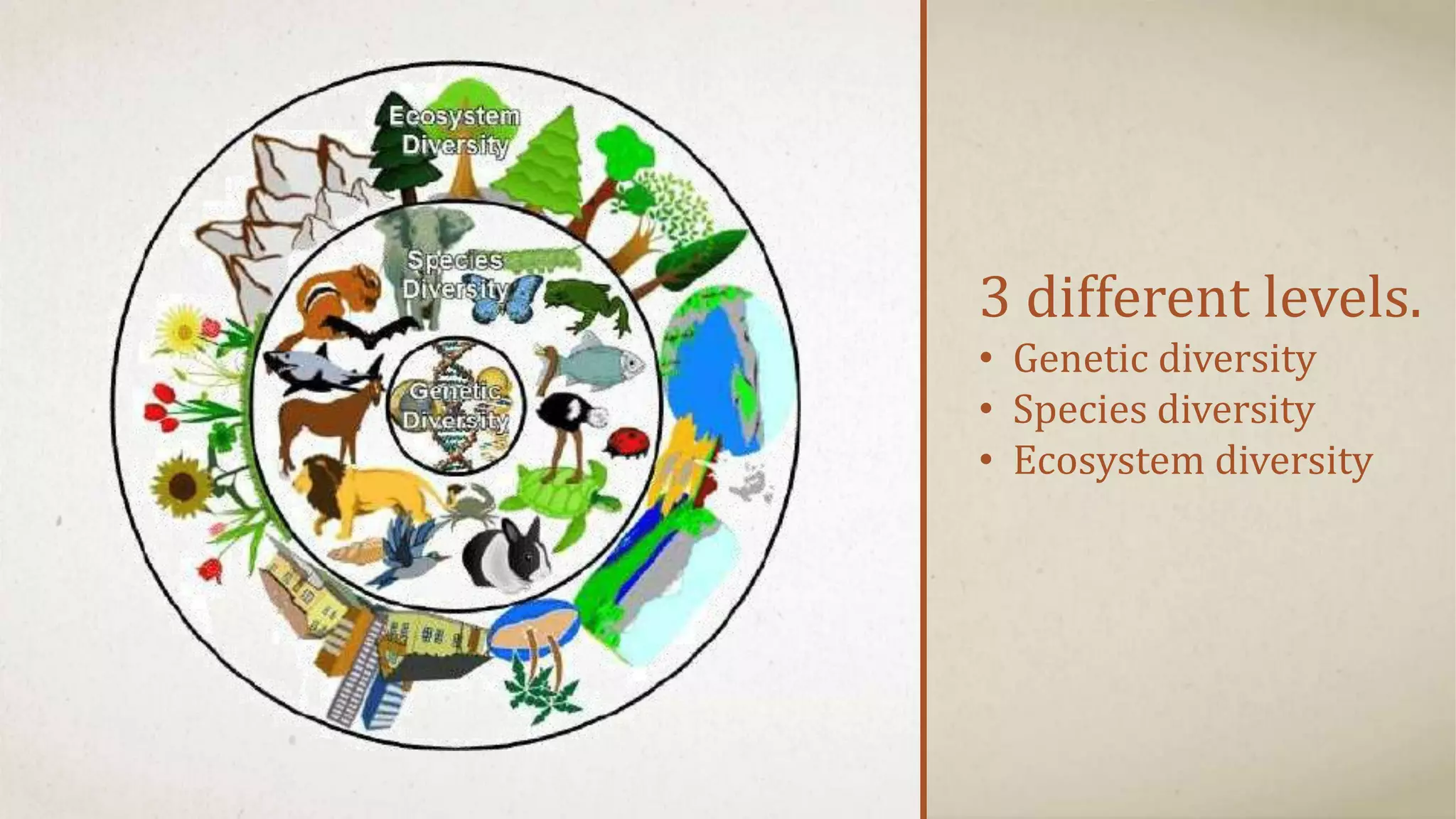 Biodiversity and its conservation | PPTX