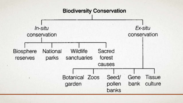Biodiversity and its conservation | PPTX | Zoos & Aquariums | Attractions