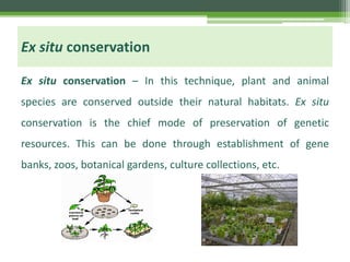 Biodiversity and its conservation | PDF