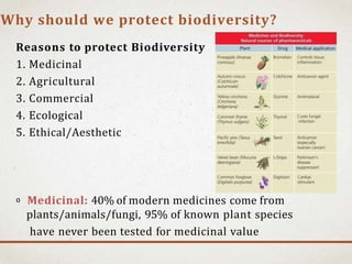 Biodiversity and its conservation | PPTX