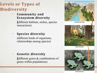Biodiversity and its conservation | PPTX