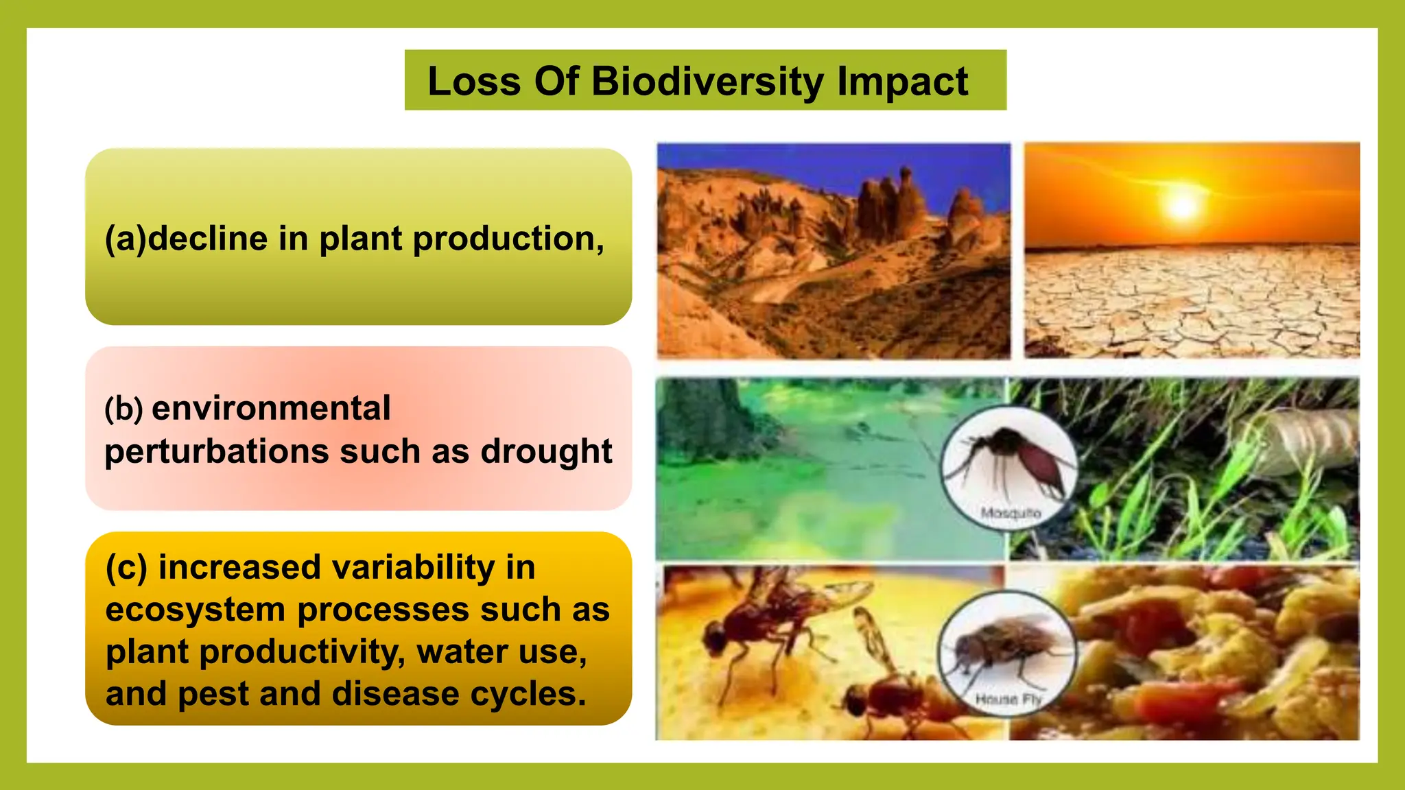biodiversity and its conservation part 2 ecology | PPTX