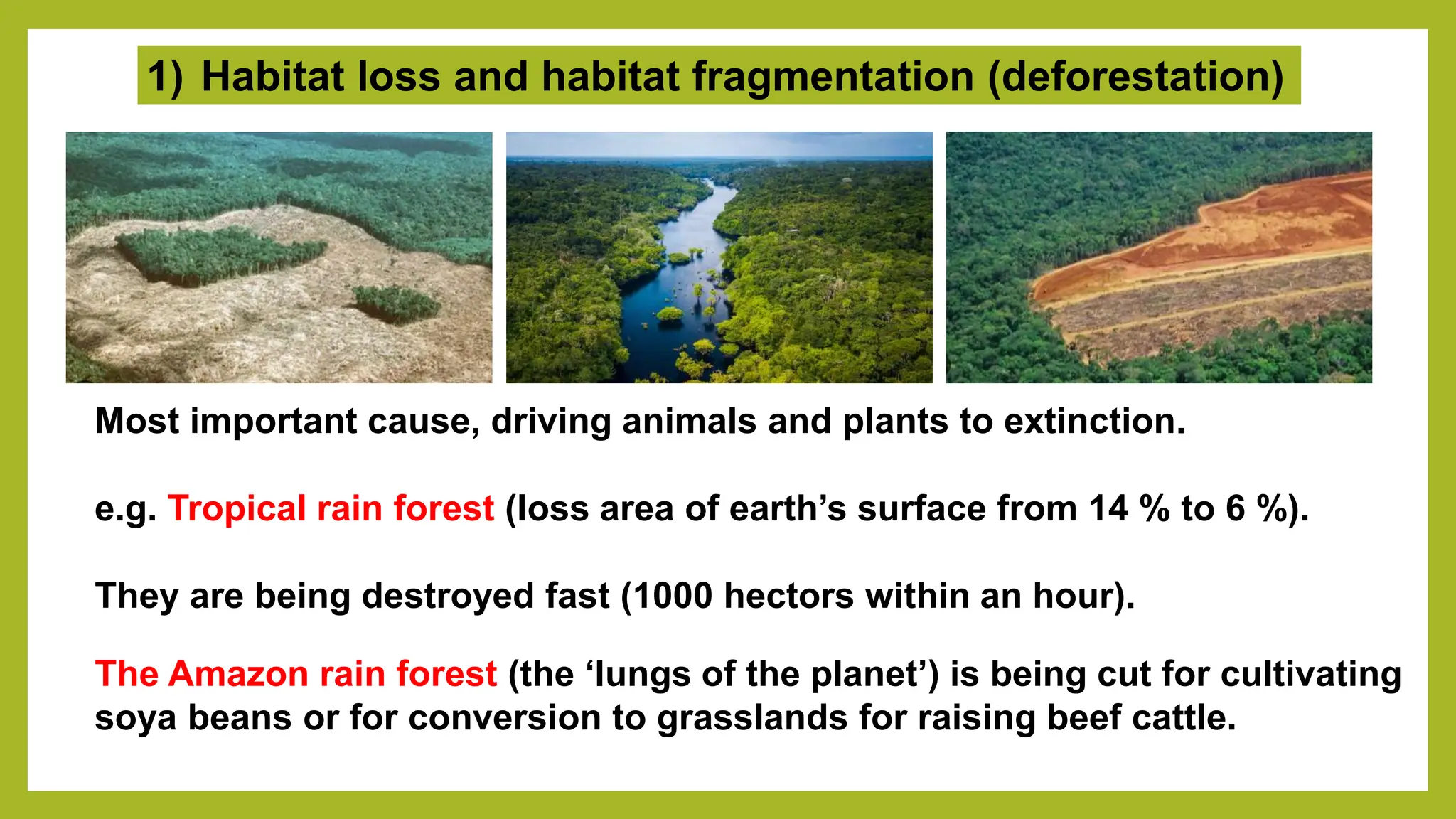 biodiversity and its conservation part 2 ecology | PPTX