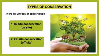 biodiversity and its conservation part 2 ecology | PPTX | Zoos ...