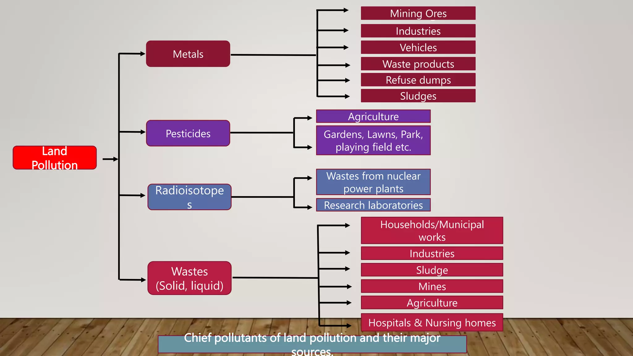 Biodiversity and Pollution.pptx