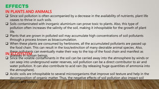 Biodiversity and Pollution.pptx