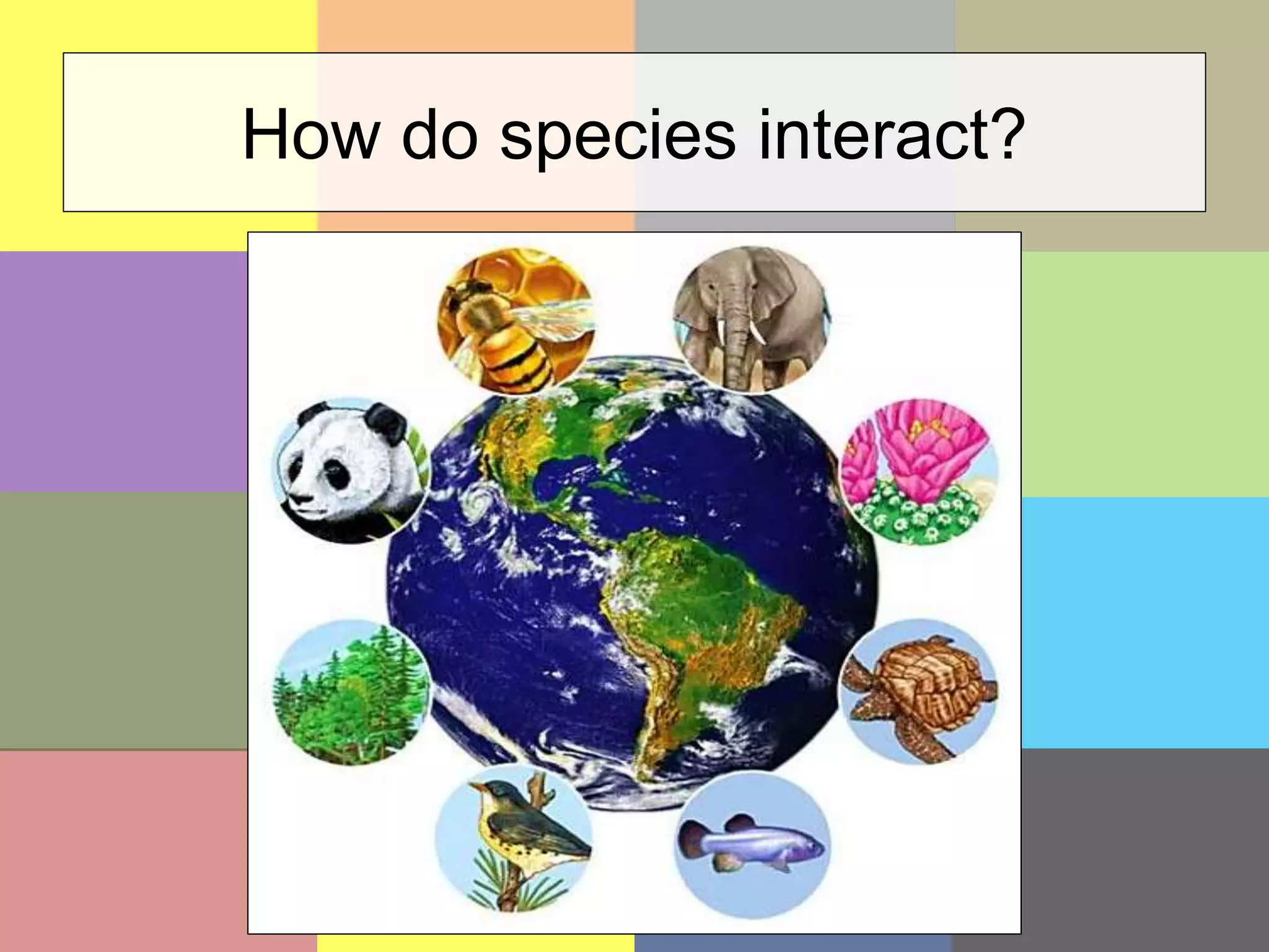 Biodiversity and population | PPTX | Geography | Science
