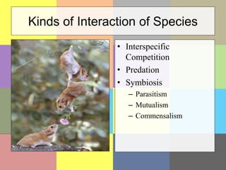 Biodiversity and population | PPTX
