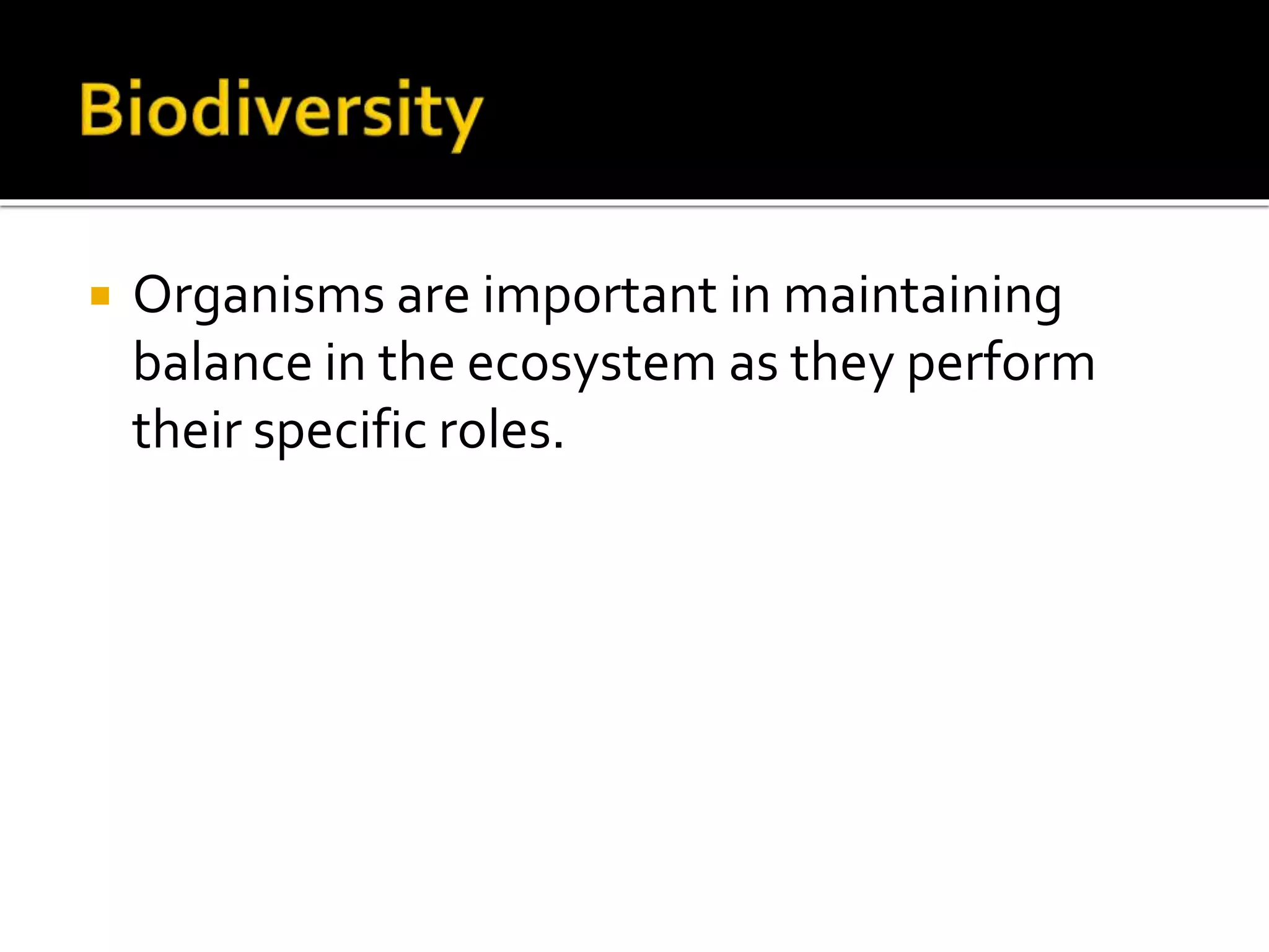 Biodiversity and stability | PPTX