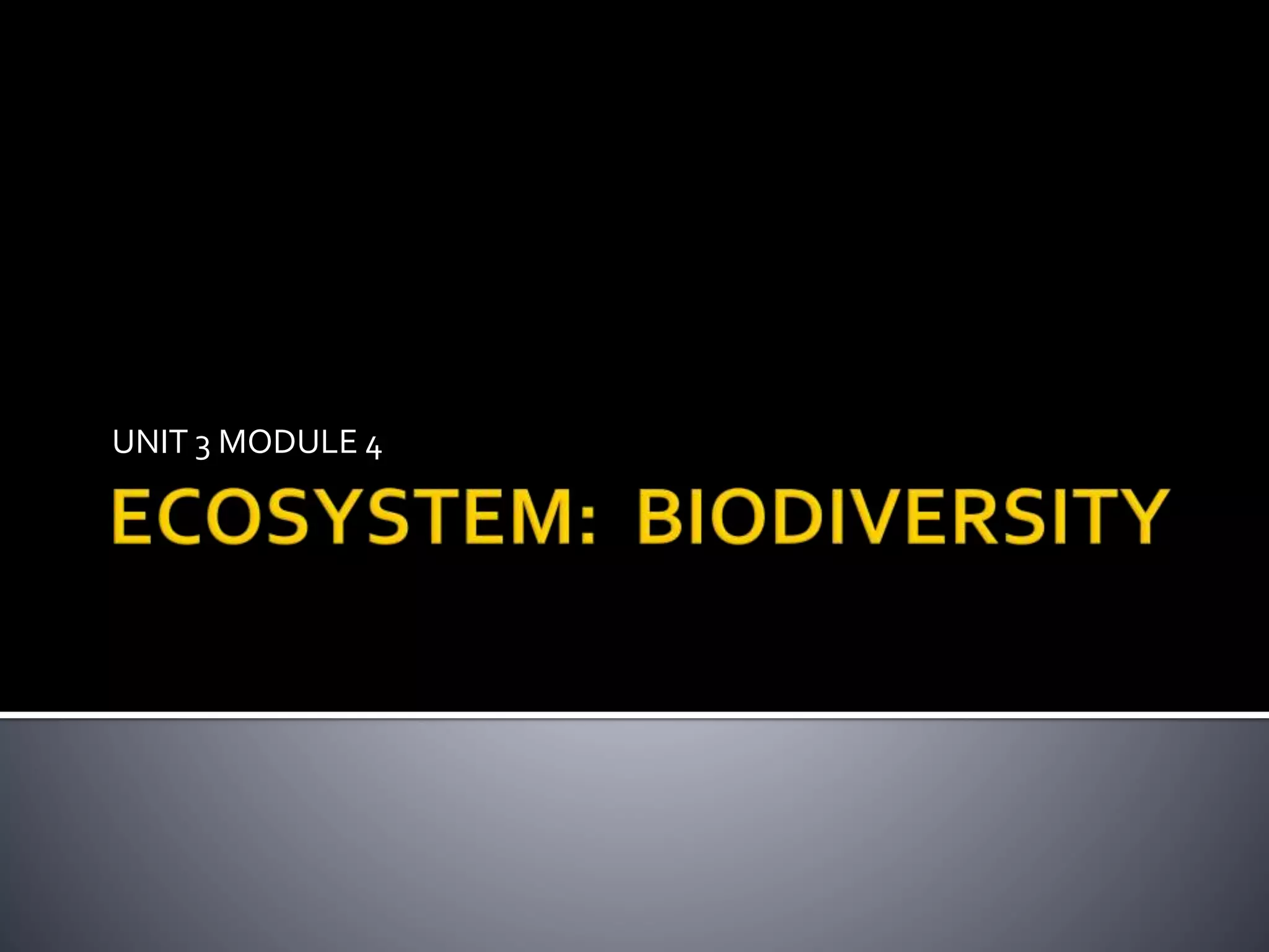 Biodiversity and stability | PPT