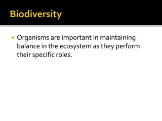 Biodiversity and stability | PPTX