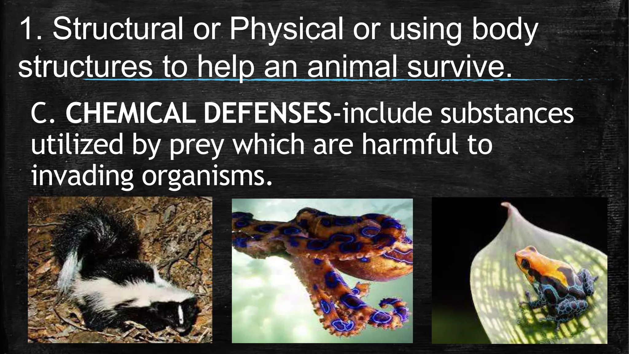 BIODIVERSITY AND STABILITY.pptx