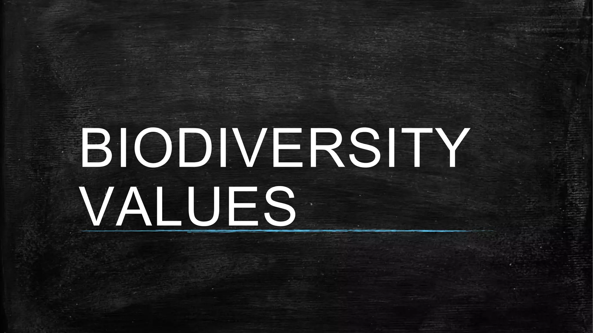 BIODIVERSITY AND STABILITY.pptx