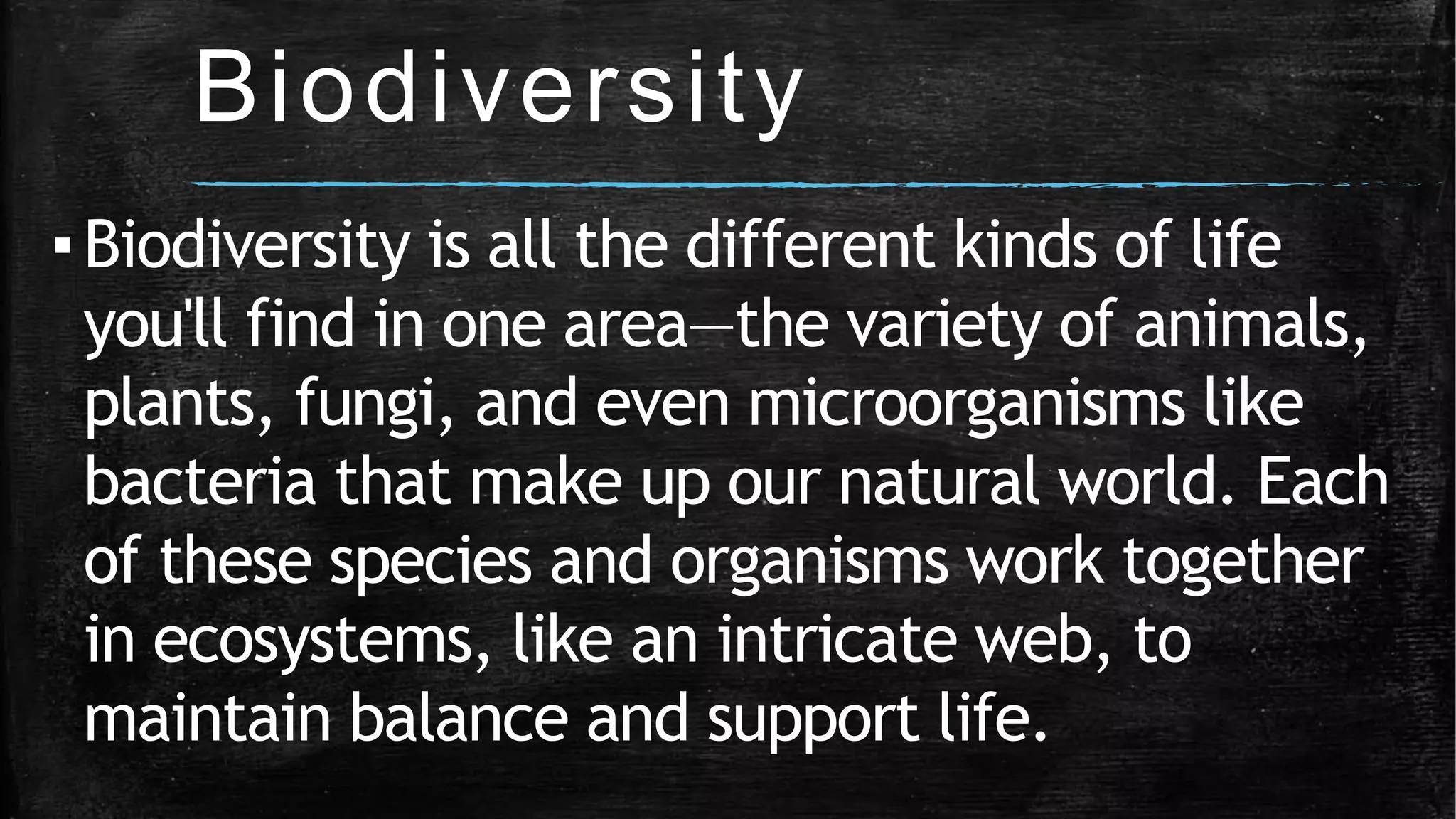 BIODIVERSITY AND STABILITY.pptx
