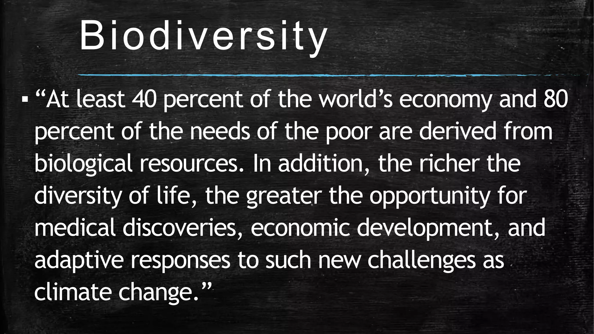 BIODIVERSITY AND STABILITY.pptx