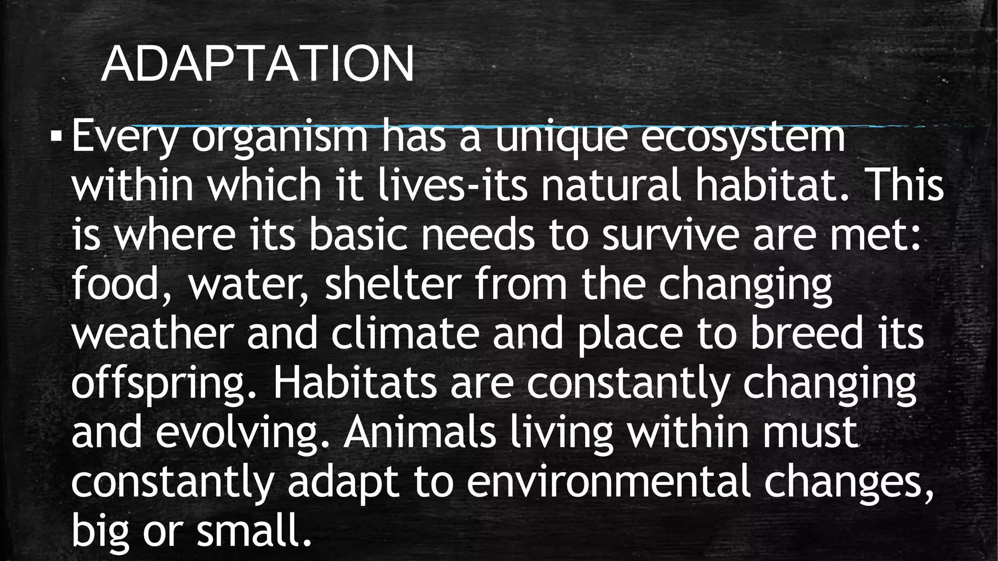 BIODIVERSITY AND STABILITY.pptx