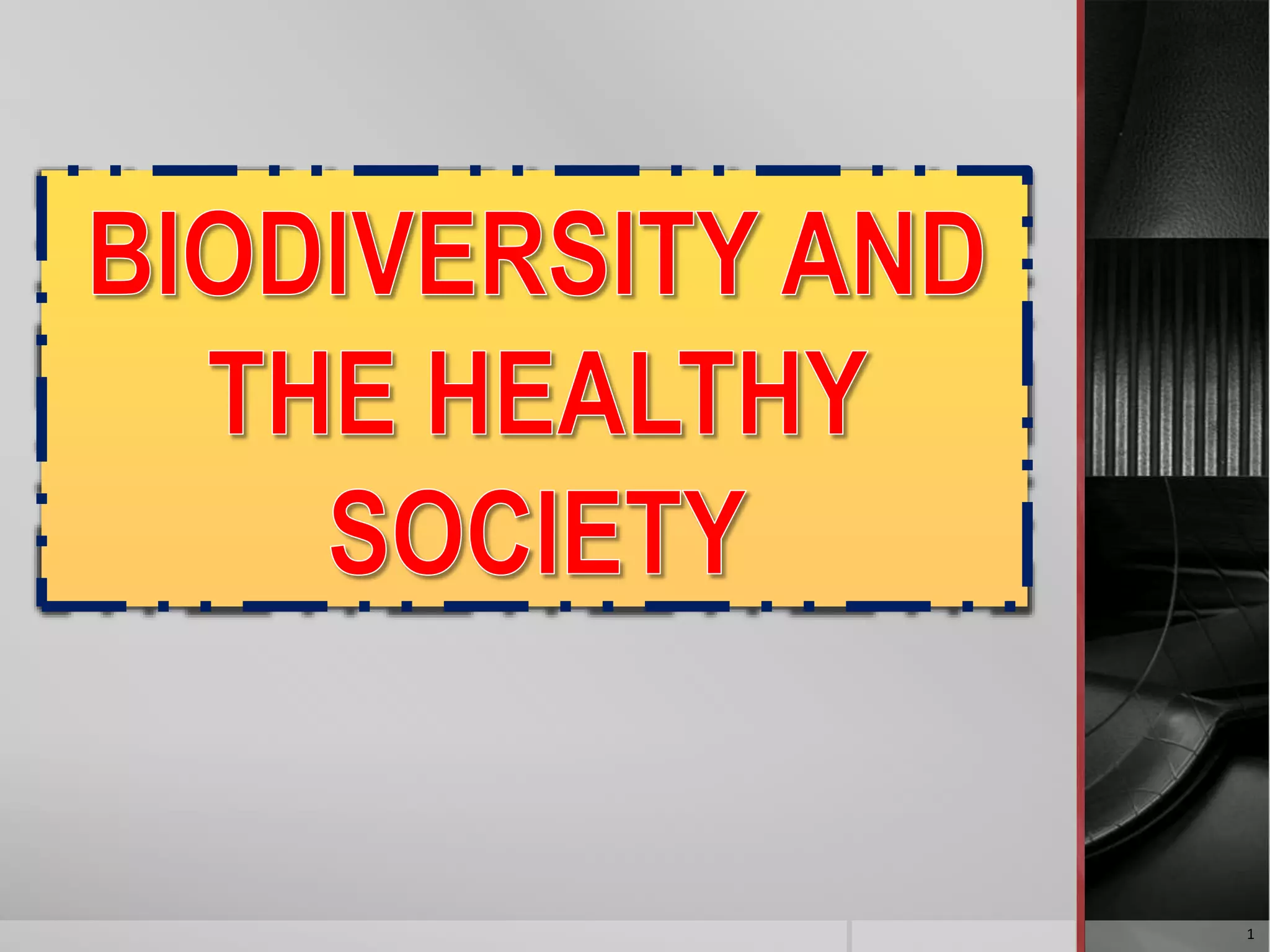 Biodiversity and the healthy society | PPTX
