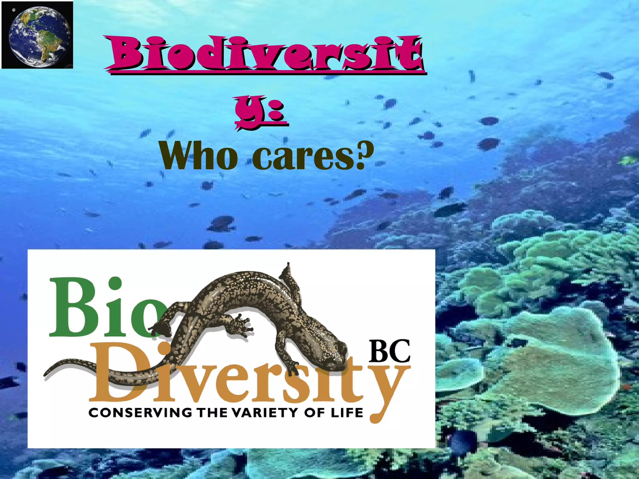 Biodiversity assignment 1 | PPT