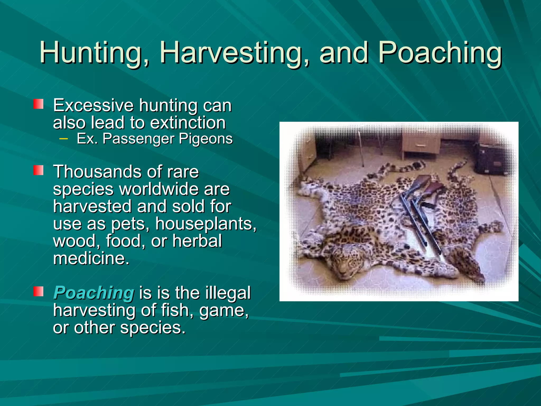 Biodiversity at risk | PPT