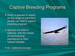 Biodiversity at risk | PPT