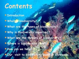Biodiversity basics | PPT