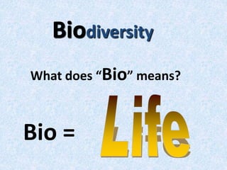 Bio diversity by shreedhar beese | PPT