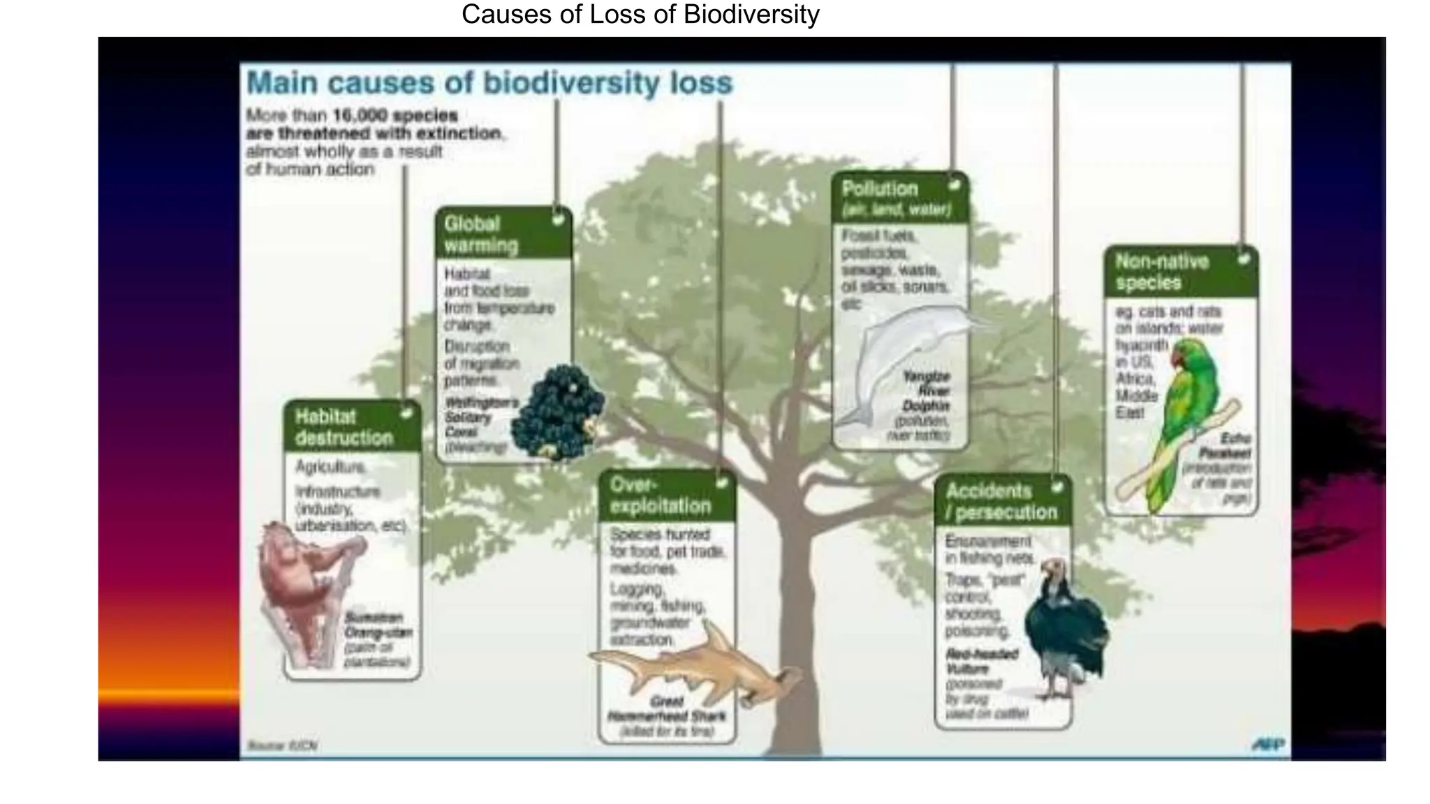 Biodiversity chapter insitu and exsitu --4 | PPT
