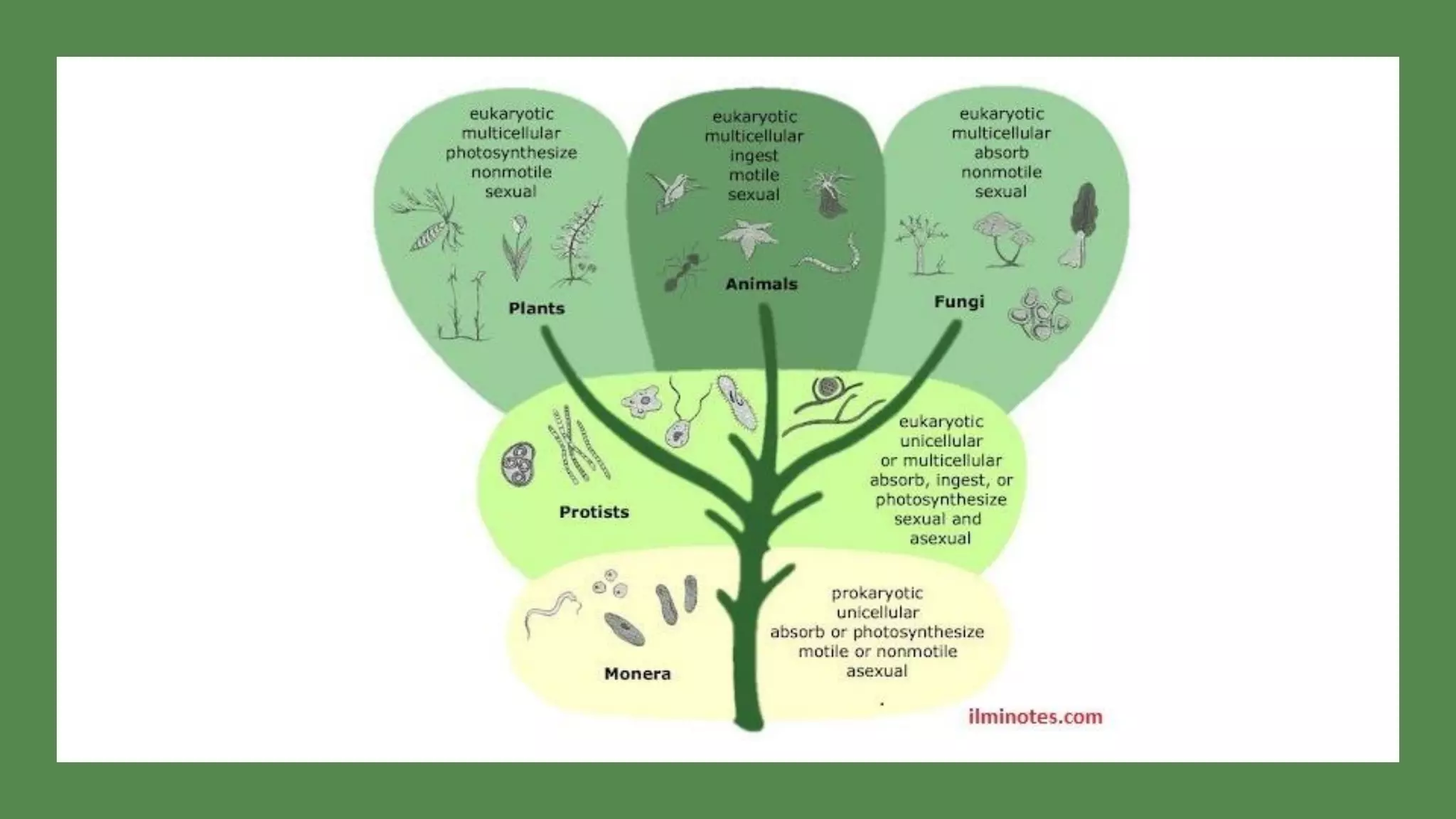 biodiversity class 9.pdf