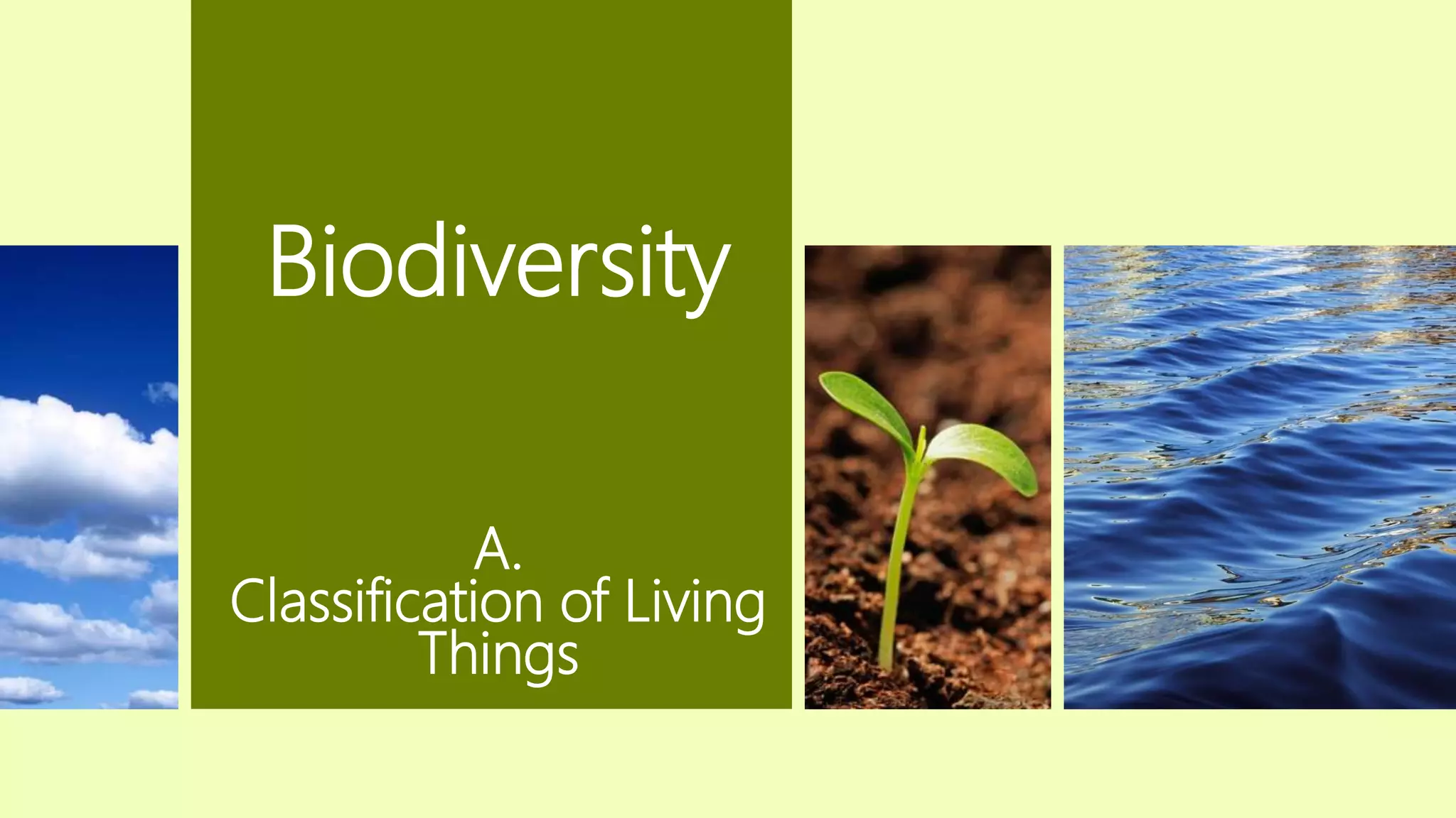 Biodiversity: Classification of living organisms | PPTX