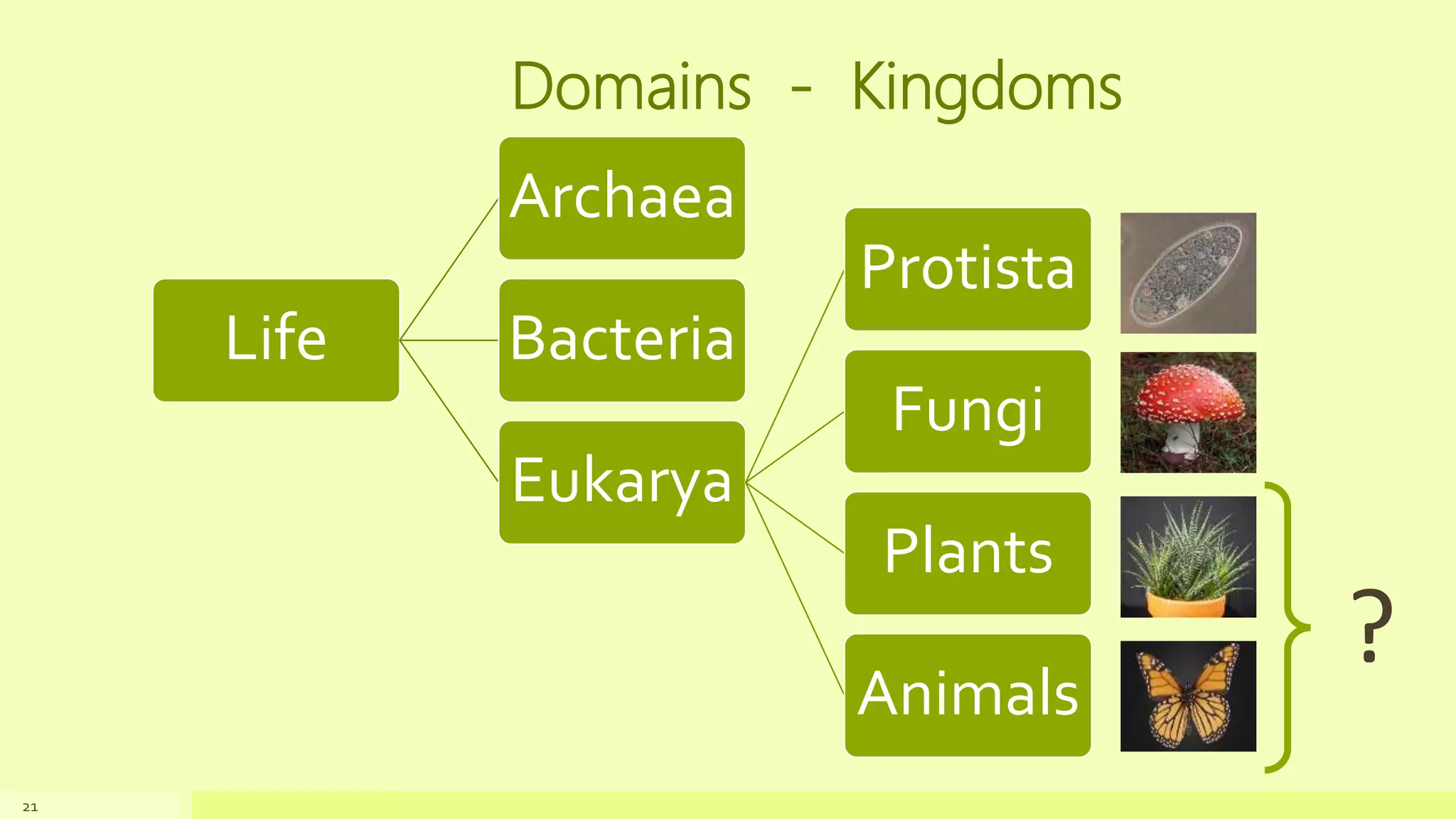 Biodiversity: Classification of living organisms | PPTX