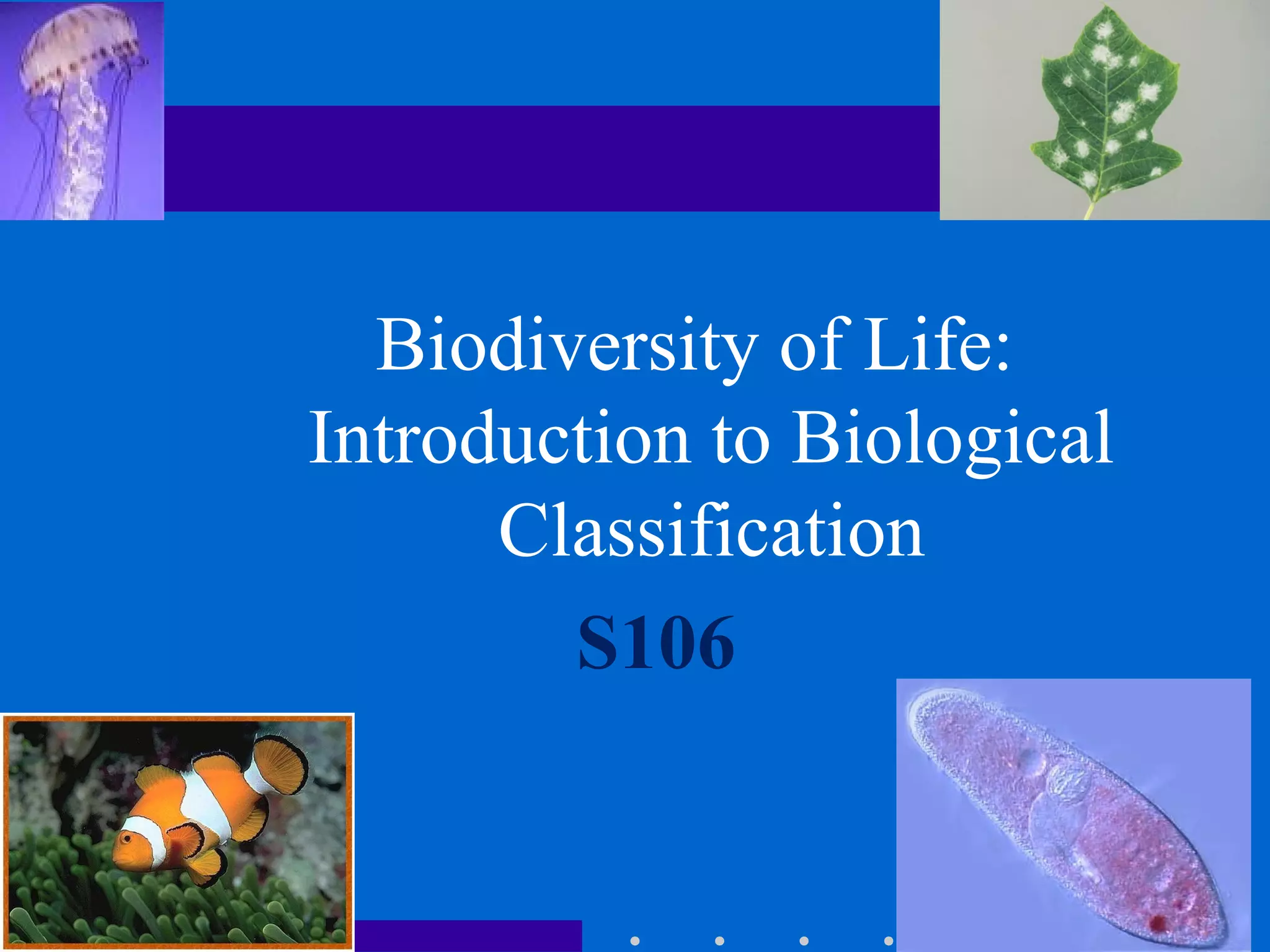 Biodiversity classification 2013 | PPT