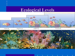 Biodiversity classification 2013 | PPT