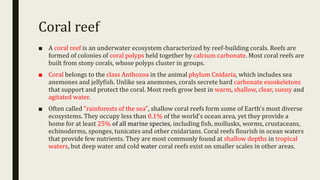 biodiversity cnidaria.pptx