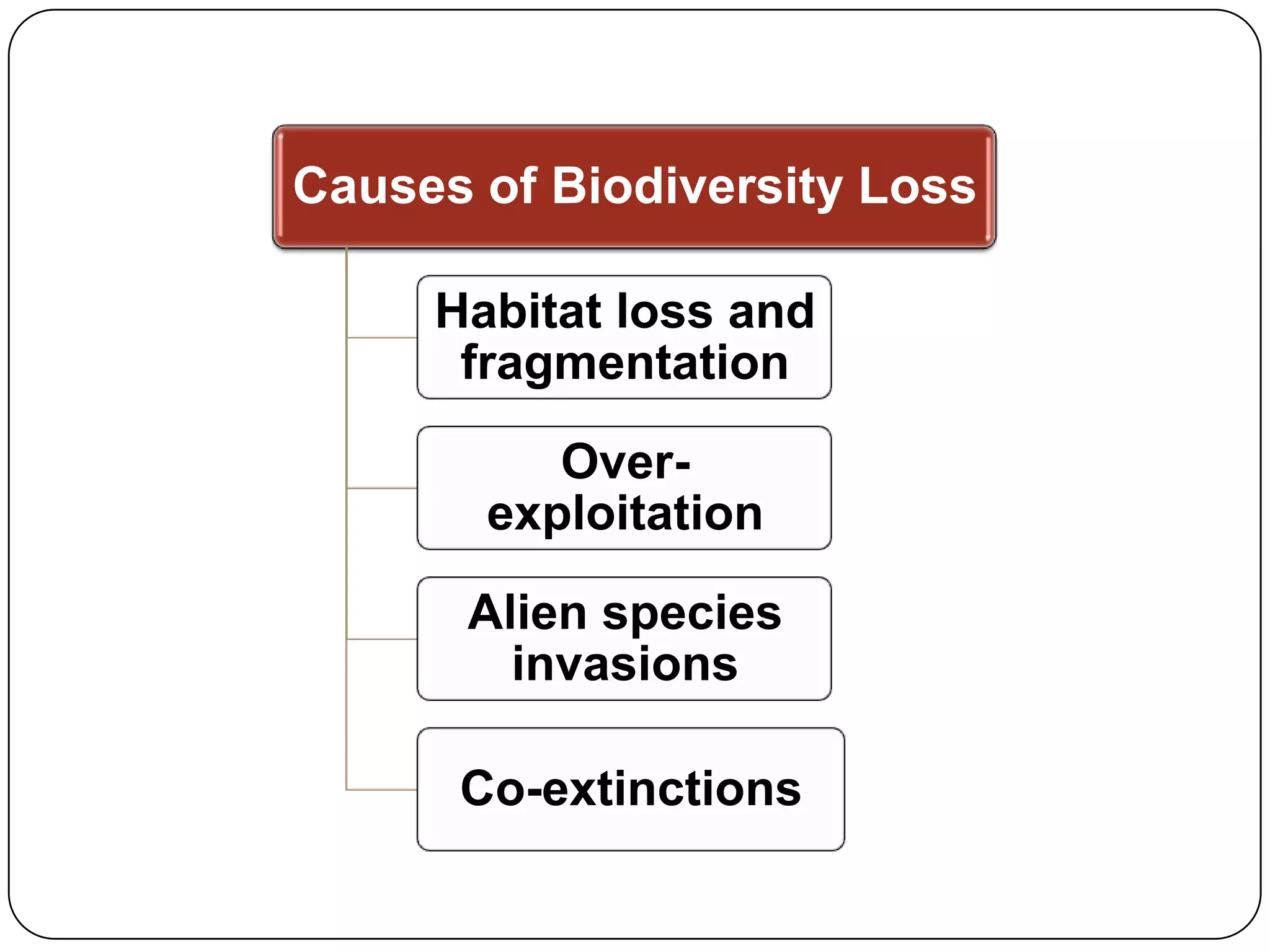 Biodiversity and conservation | PPT