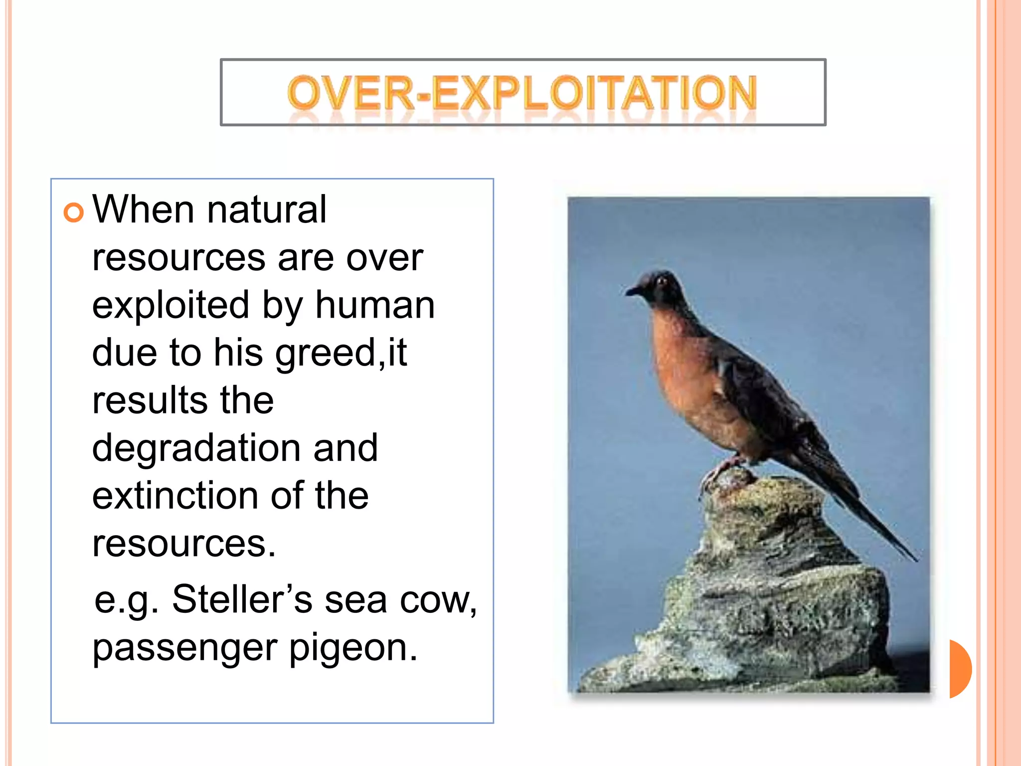 Biodiversity and conservation | PPT