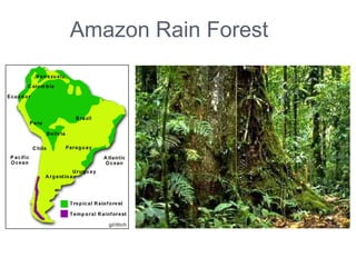 Biodiversity and conservation | PPT