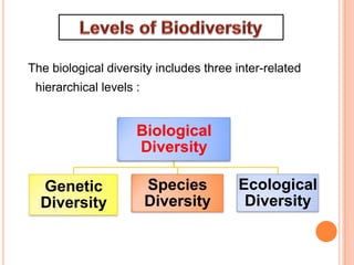 Biodiversity and conservation | PPT