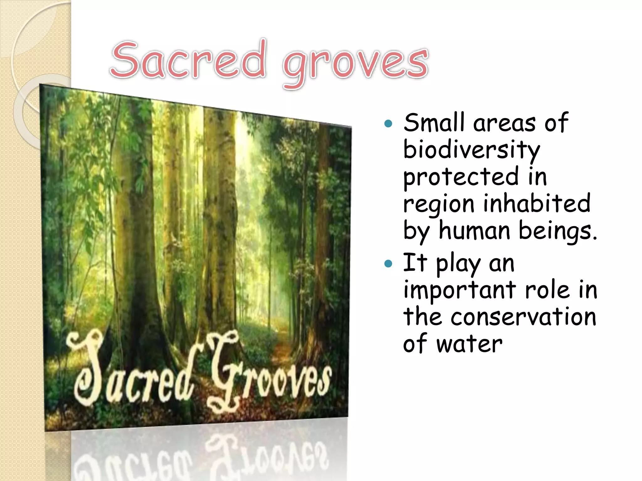 Biodiversity conservation.doc