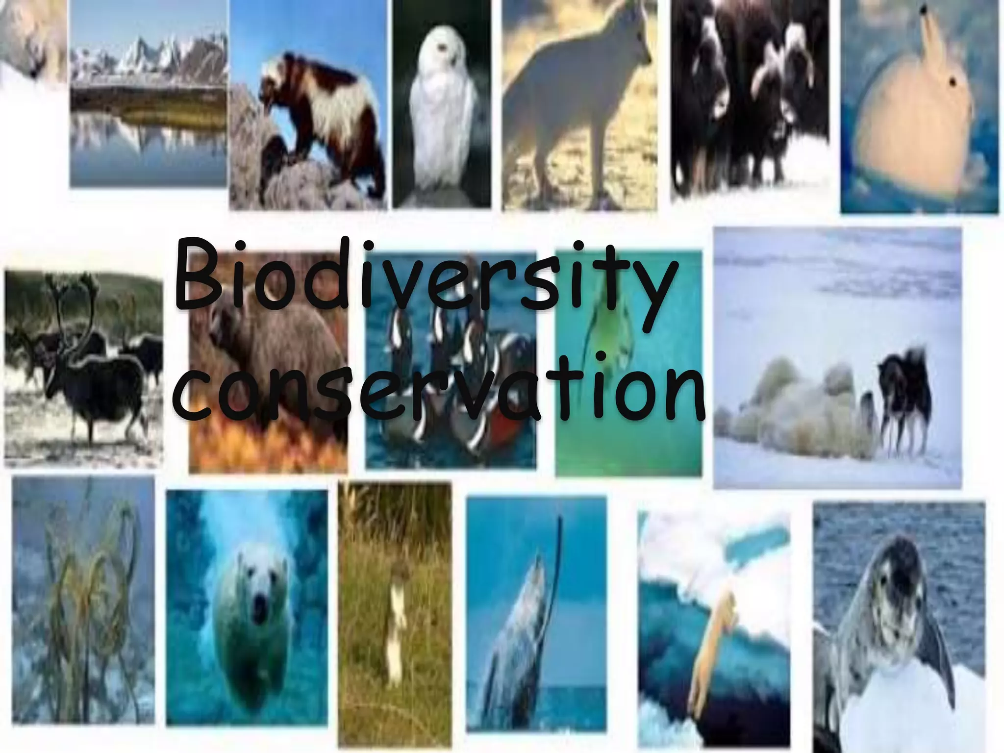 Biodiversity conservation.doc