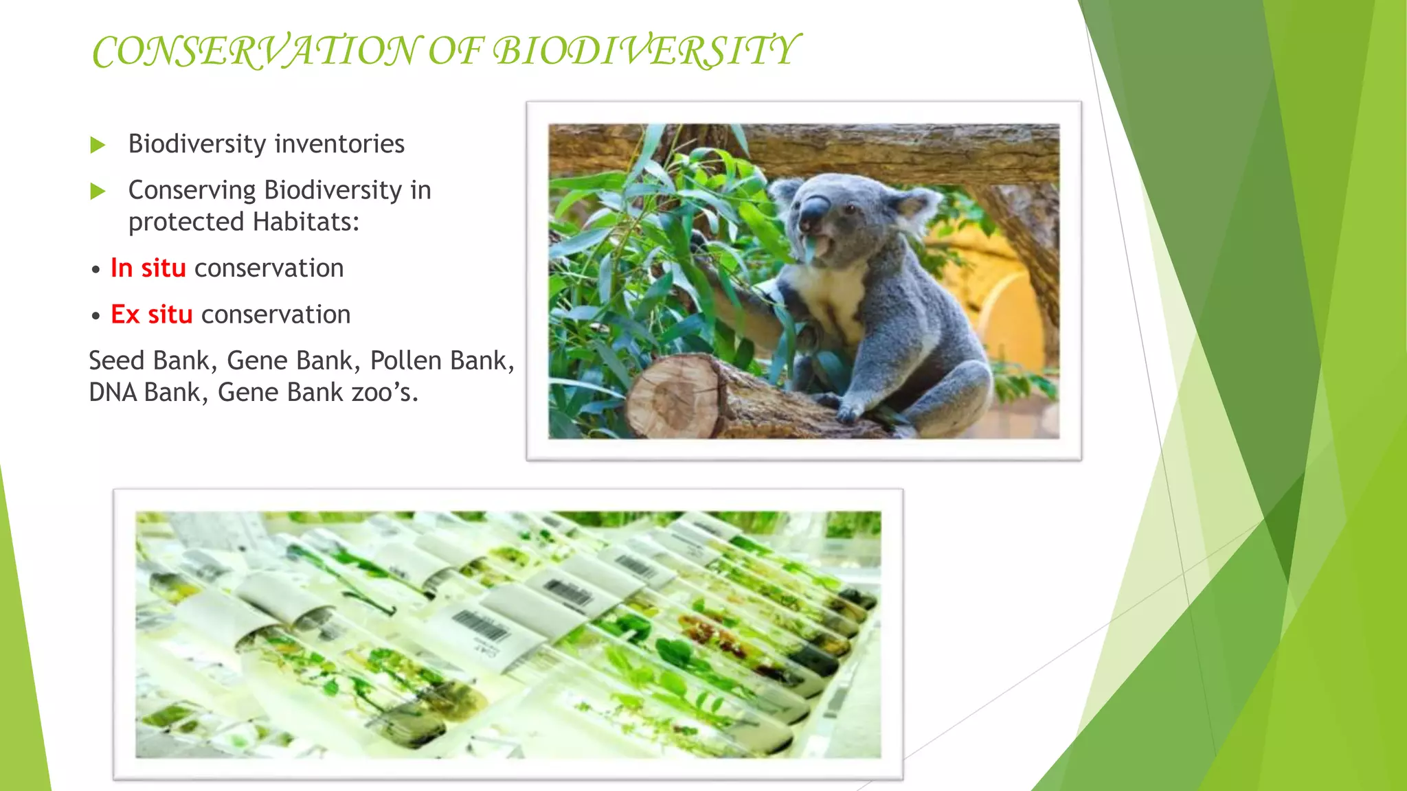 Biodiversity Conservation | PPTX