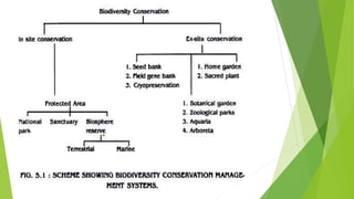 Biodiversity Conservation | PPTX