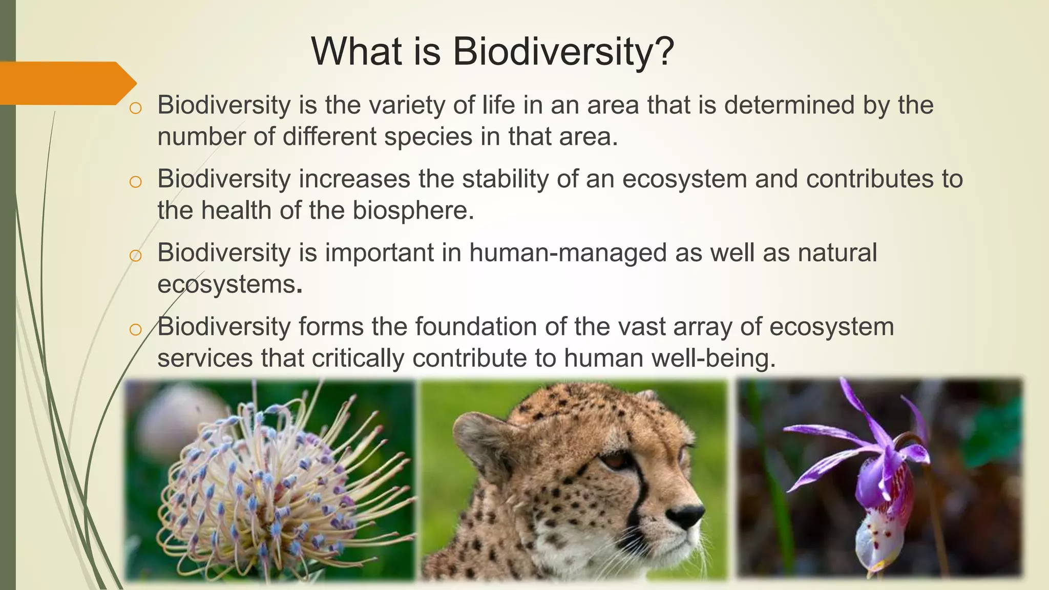 Biodiversity conservation | PPT