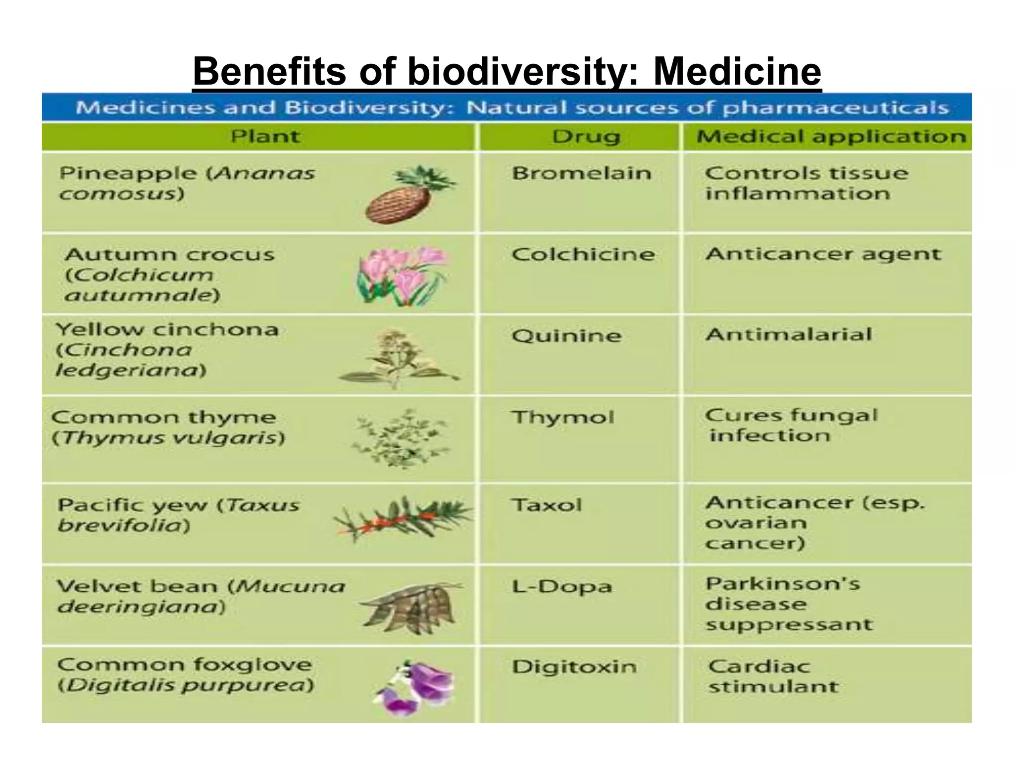 Biodiversity Conservation | PDF