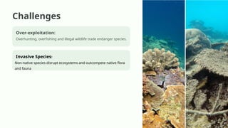 biodiversity conservation challenges.pptx